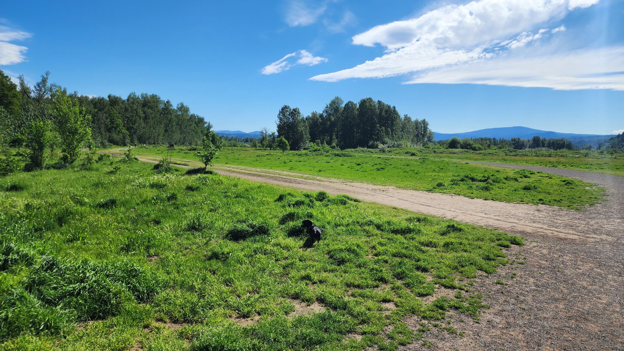 1000 Acres Dog Park - City of Troutdale